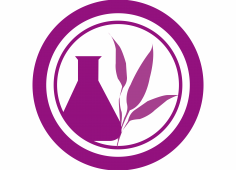 L'école Polytech Orléans | Université d'Orléans